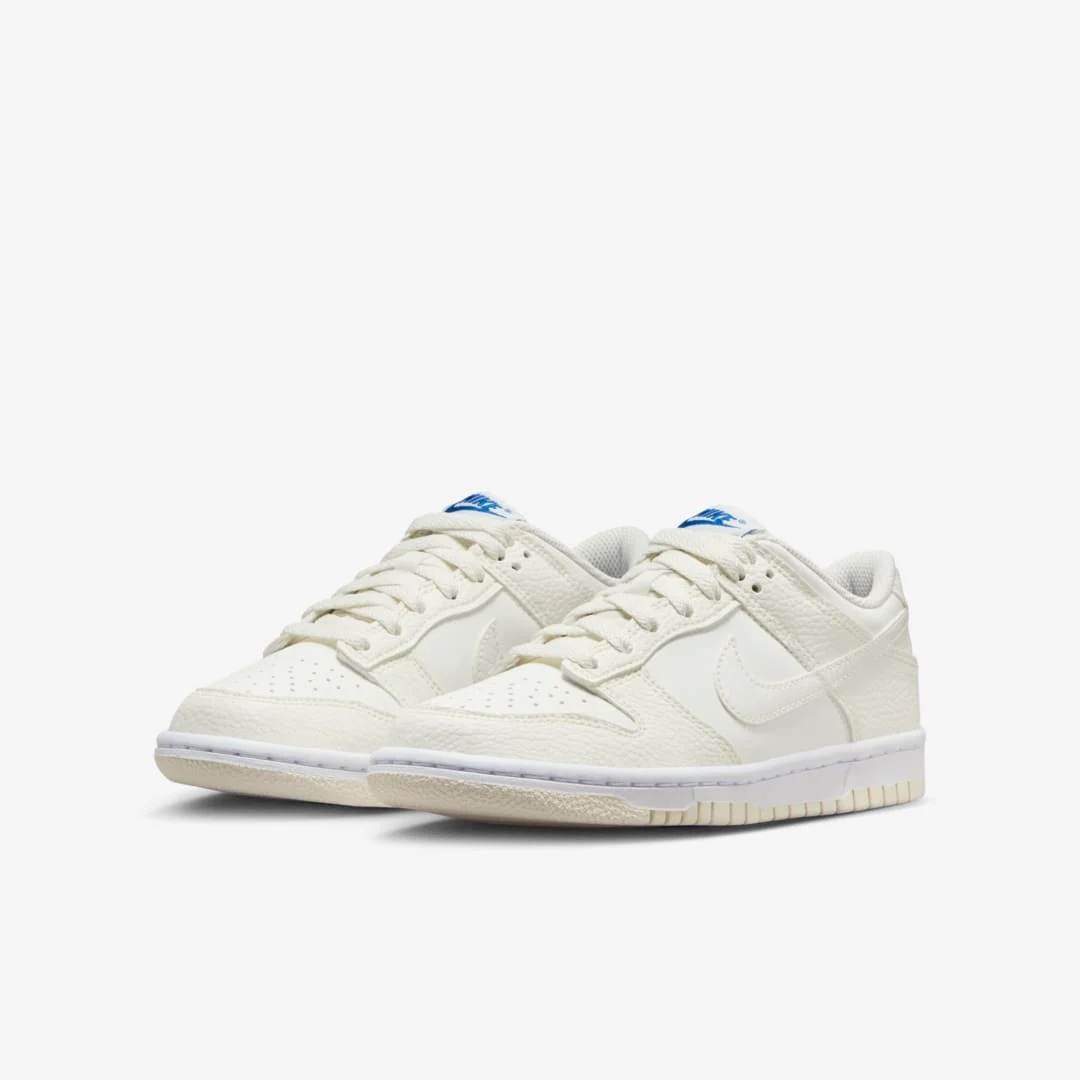 Nike Dunk Low GS Sail/Blue FV7472-100 - KicksOnFire.com